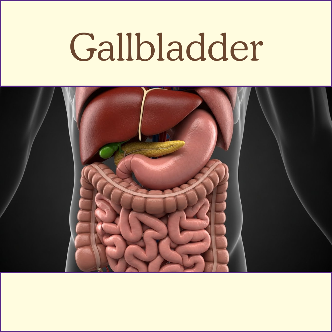 Gallbladder Support - Natural Remedies for Gallbladder Health - Natropathix